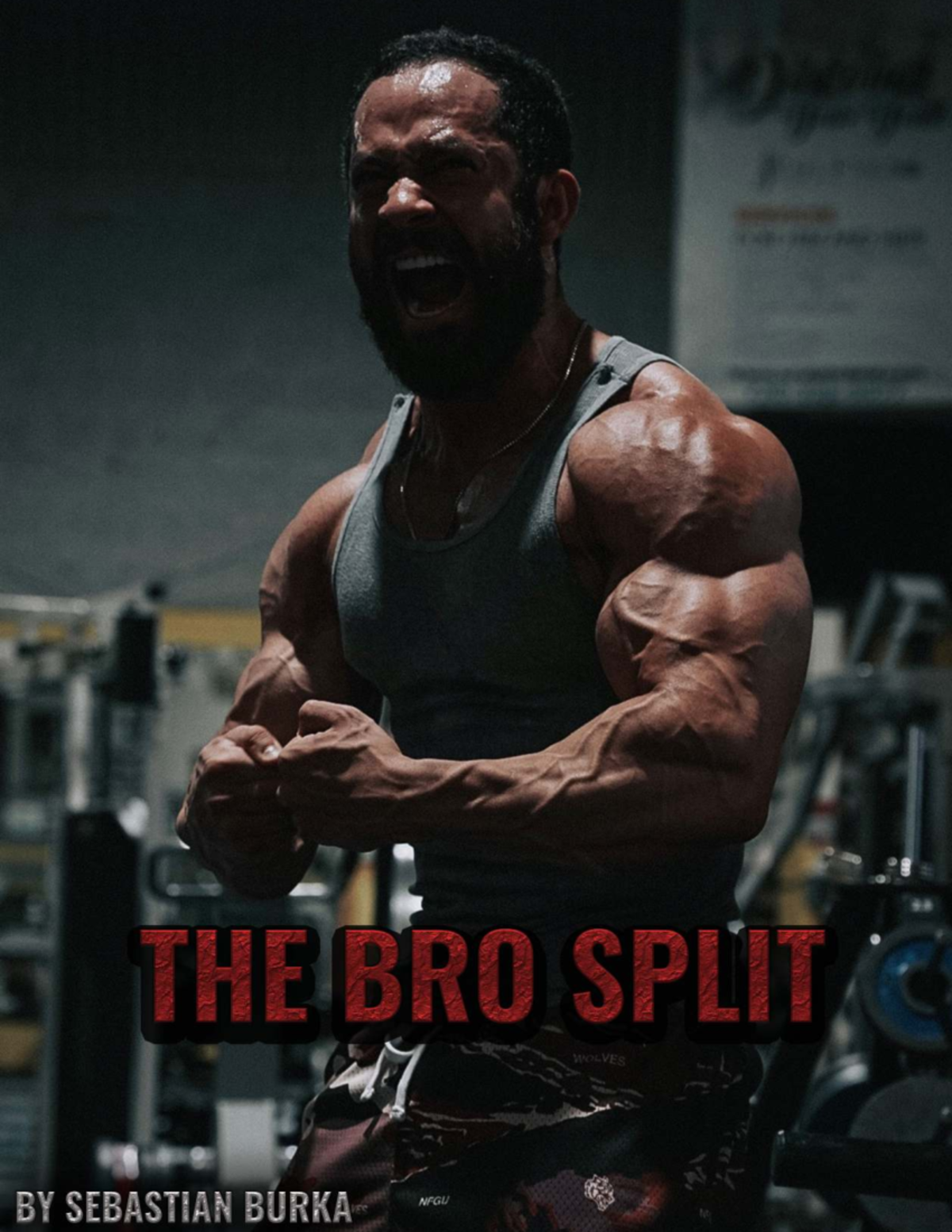 Bro Split Workout Program Overview: 7-Day Training Plan - Studocu