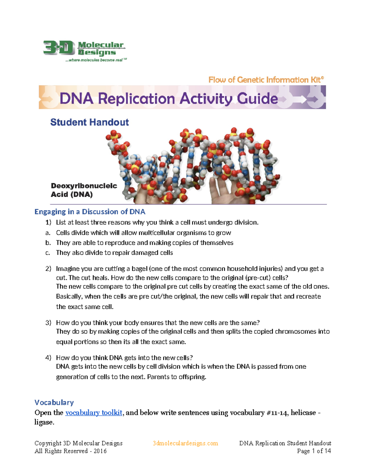 DNA Replication Lab Report: Jessica Zhang - 2023 Guide - Studocu