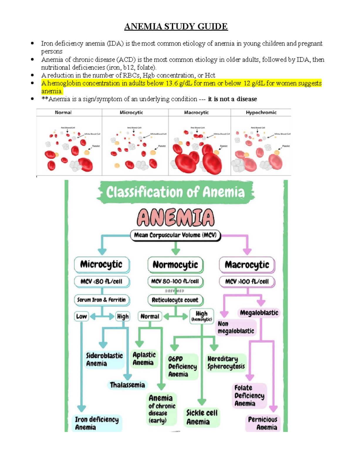 Anemia Study Guide - ANEMIA STUDY GUIDE Iron deficiency anemia (IDA) is ...