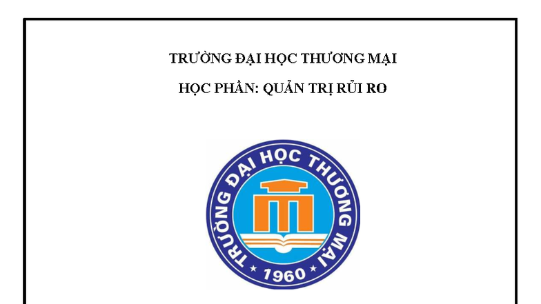 BÀI THẢO LUẬN NGHIÊN CỨU QUẢN TRỊ RỦI RO TẠI MOMO VÀ SMARTPAY (251 ...