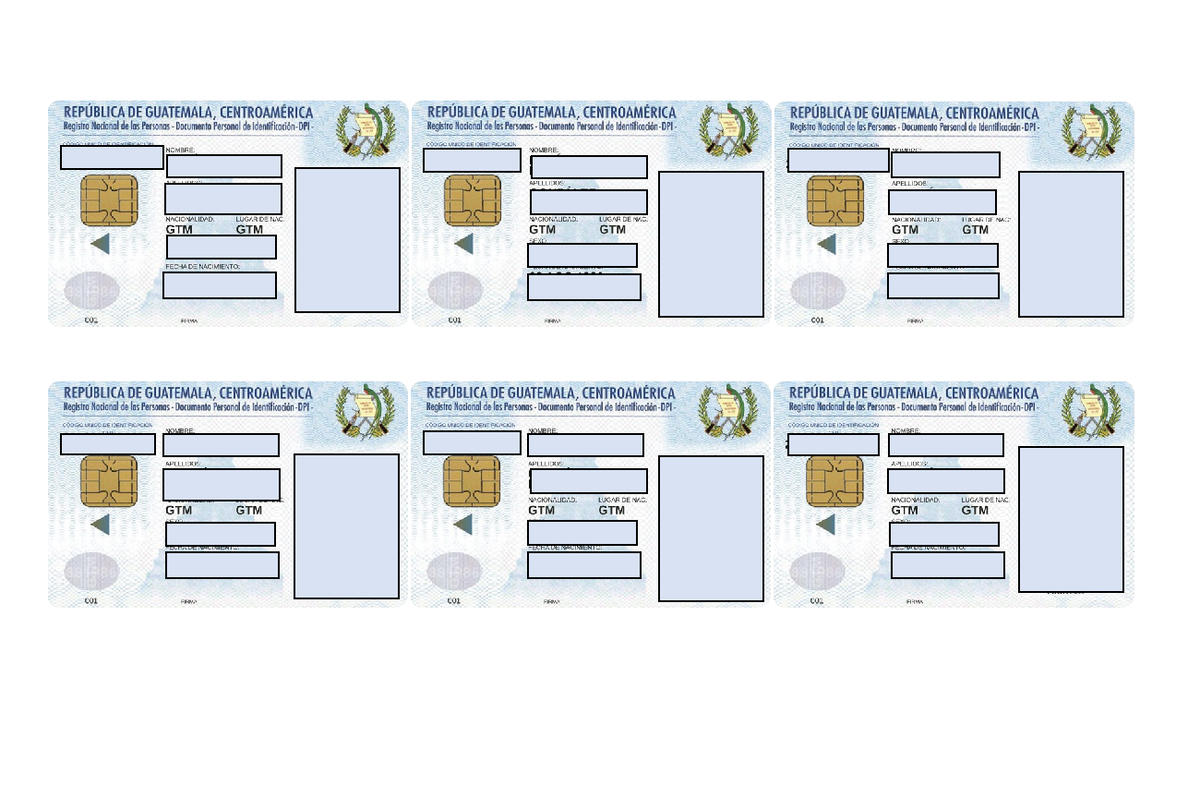 DPI Formato - Guía para Obtener el DPI en Guatemala - Studocu