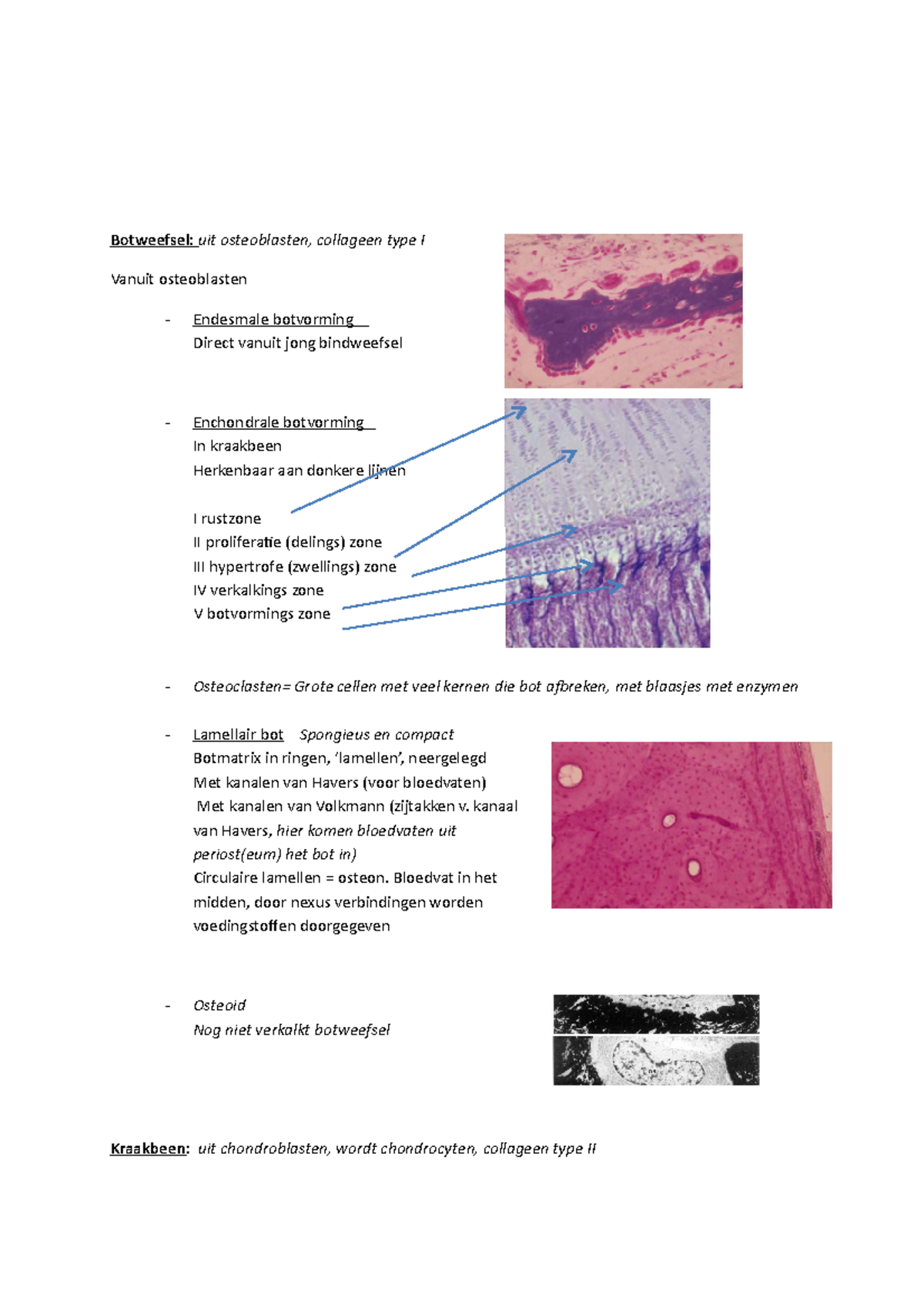 Samenvatting - College 1, 5, 7, 8 - Histologie van Bot, Kraakbeen en ...