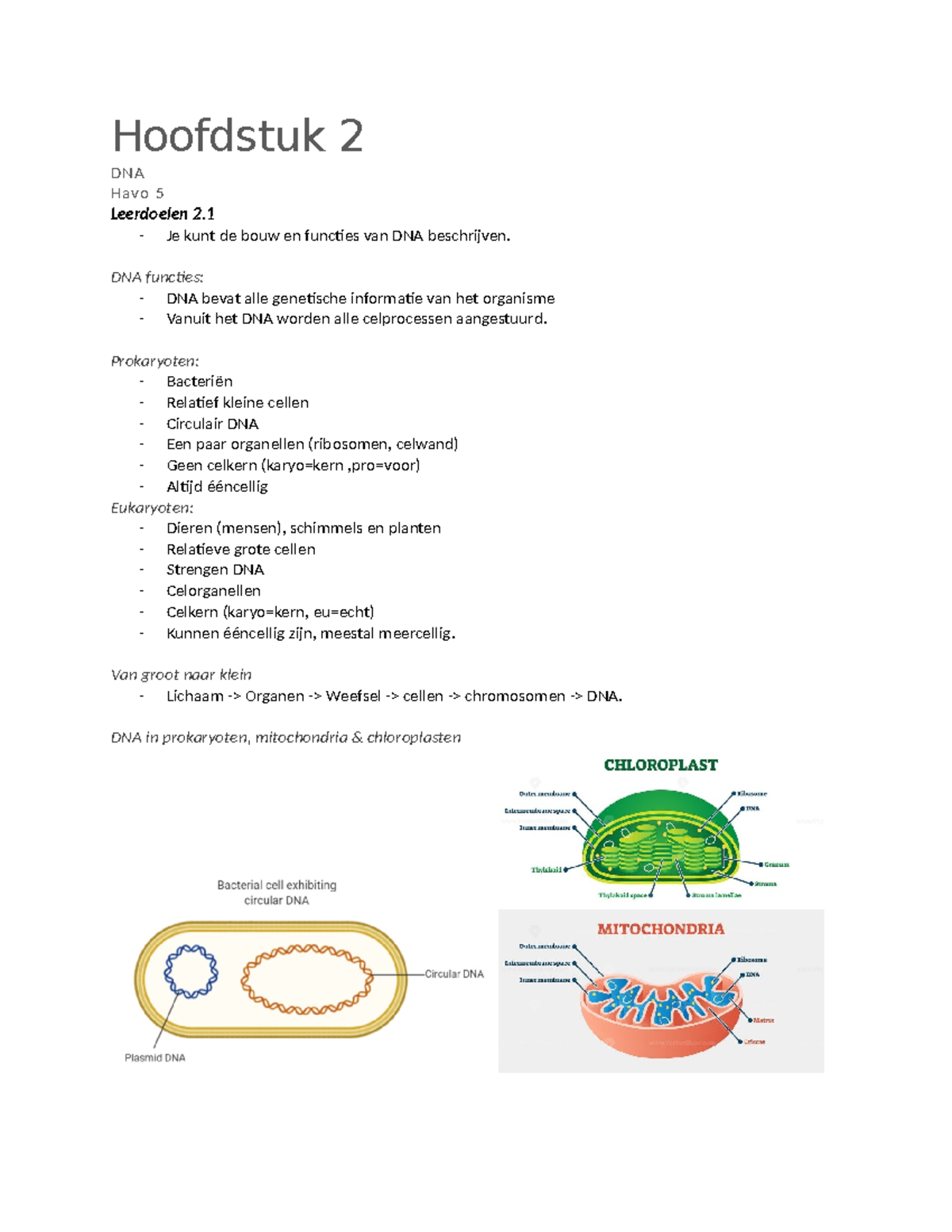 H2 - Samenvatting Hoofdstuk 2: DNA, Genregulatie en Mutaties - Studeersnel