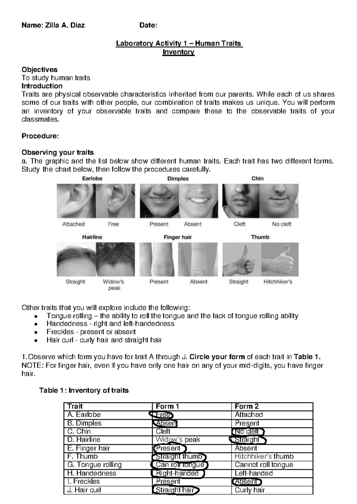 LAB 1 - Human Traits Inventory Worksheet by Zilla A. Diaz - Studocu