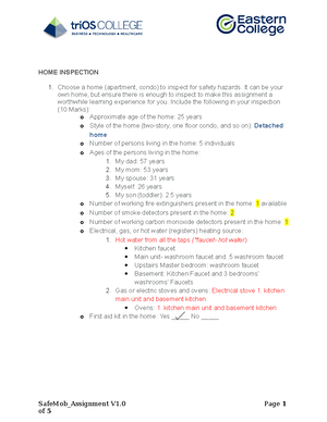 Assignment 2 - Module 2 - Module 2 – Safety and Mobility Assignment ...