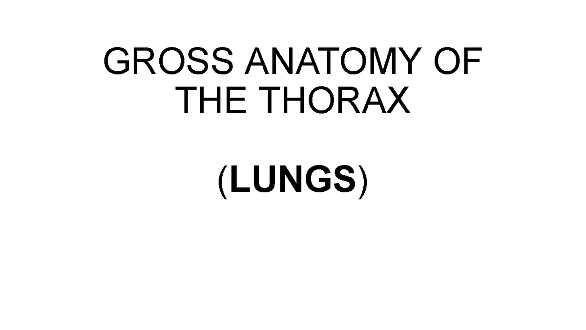 Gross Anatomy of the Thorax (Lungs) - Key Features and Functions - Studocu