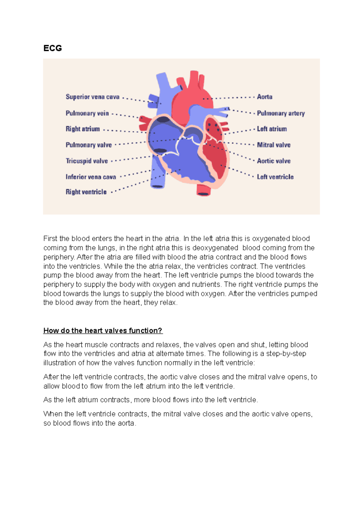 ECG modules Canvas - ECG module summary - ECG First the blood enters ...
