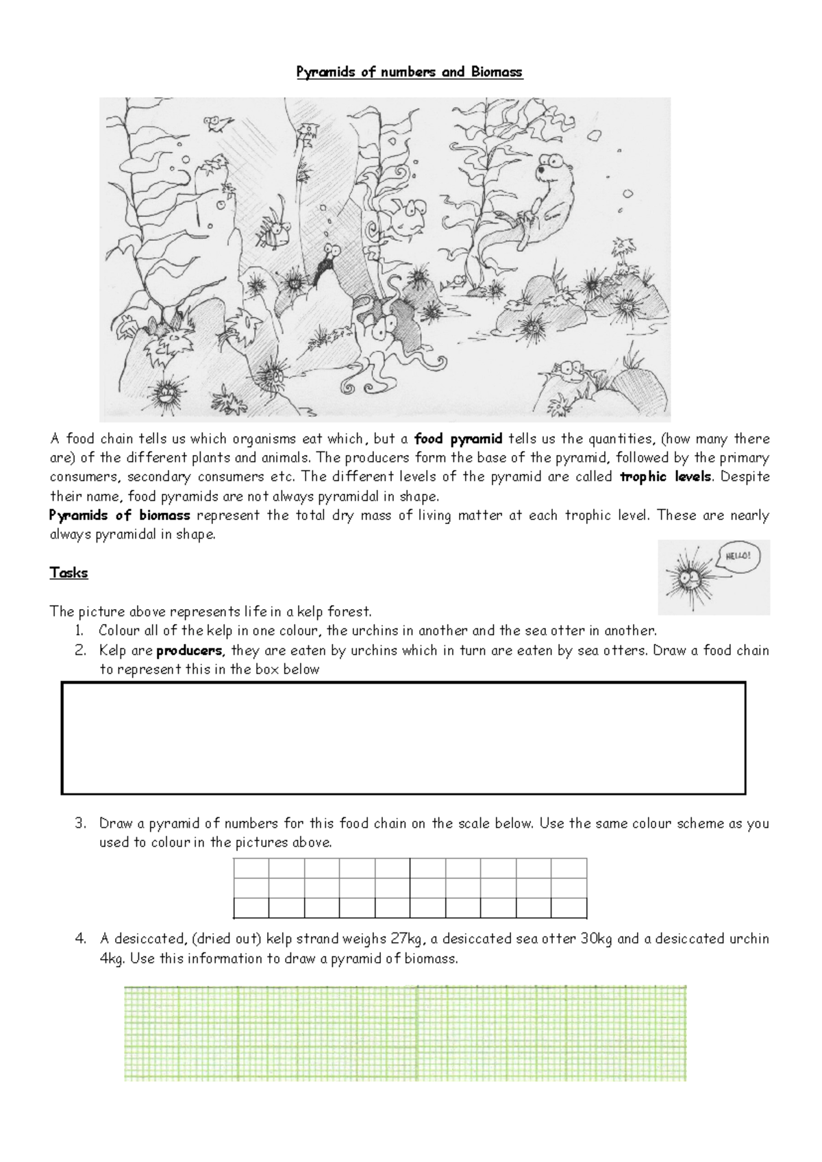 Worksheet - Kelp: Pyramids of Numbers & Biomass Analysis - Studocu