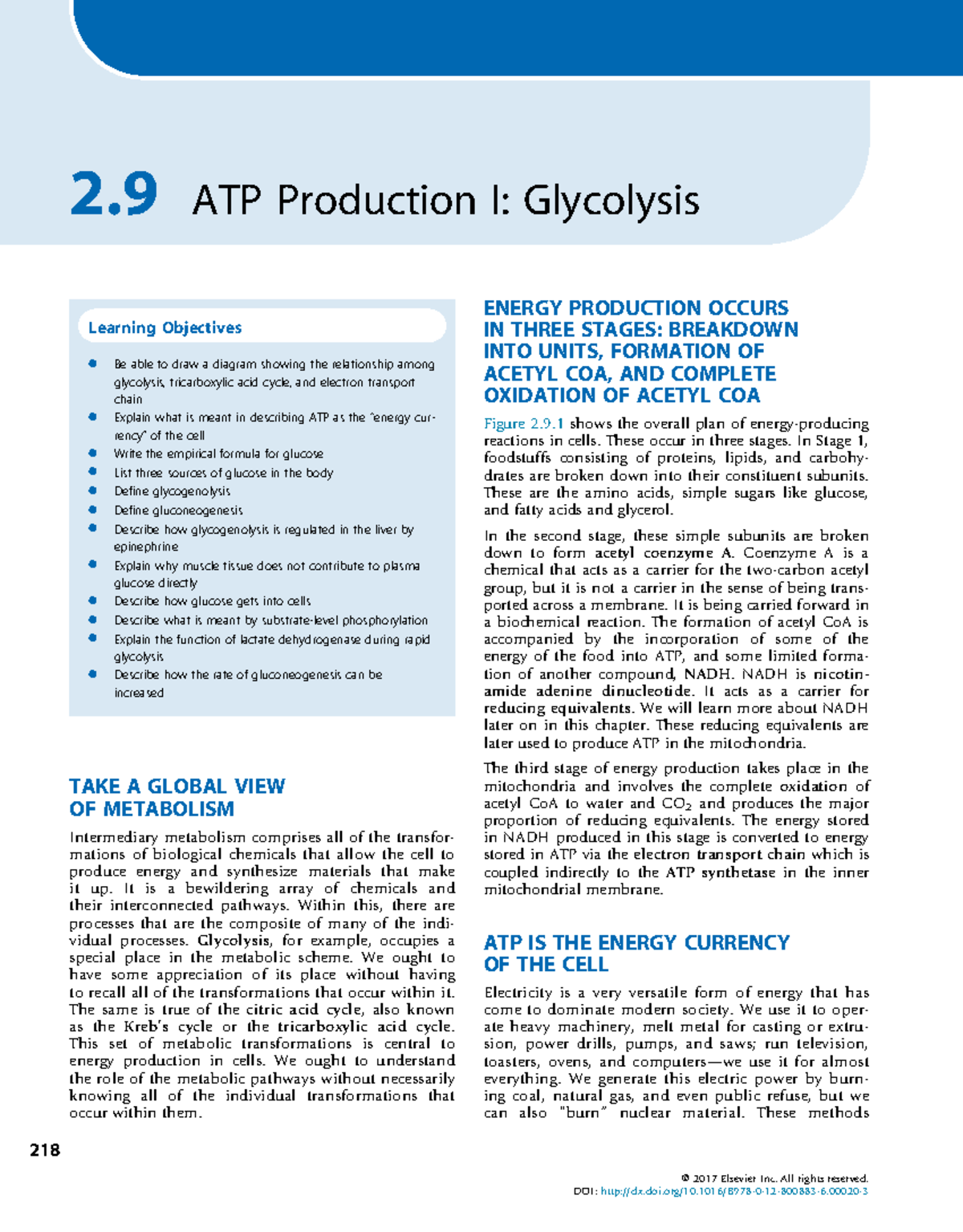 ATP Production I: Glycolysis Overview and Metabolic Pathways - Studocu