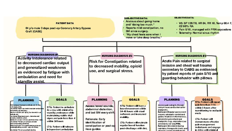 Concept Map 2 - Final: CABG Patient Care Plan and Management - Studocu