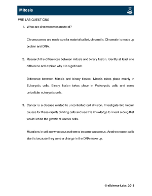 Mitosis Lab Handout NC Bio Network - Using a Microscope to View the ...