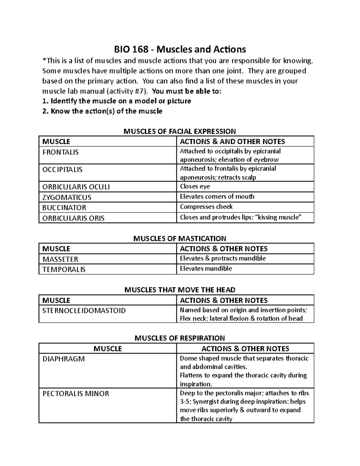 BIO 168 Muscle Actions and Functions: Comprehensive List - Studocu