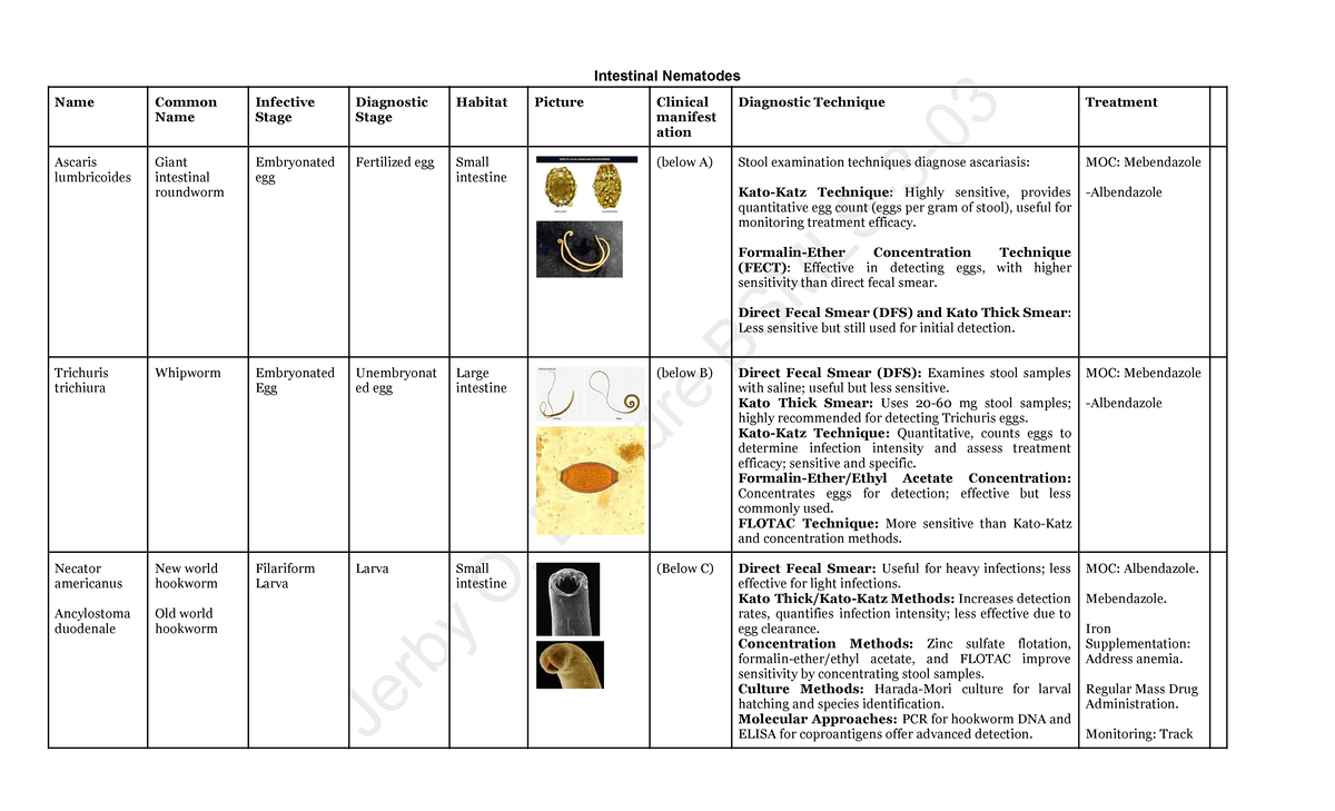 Intestinal Nematodes Overview: Diagnosis, Symptoms & Treatments (P1 ...