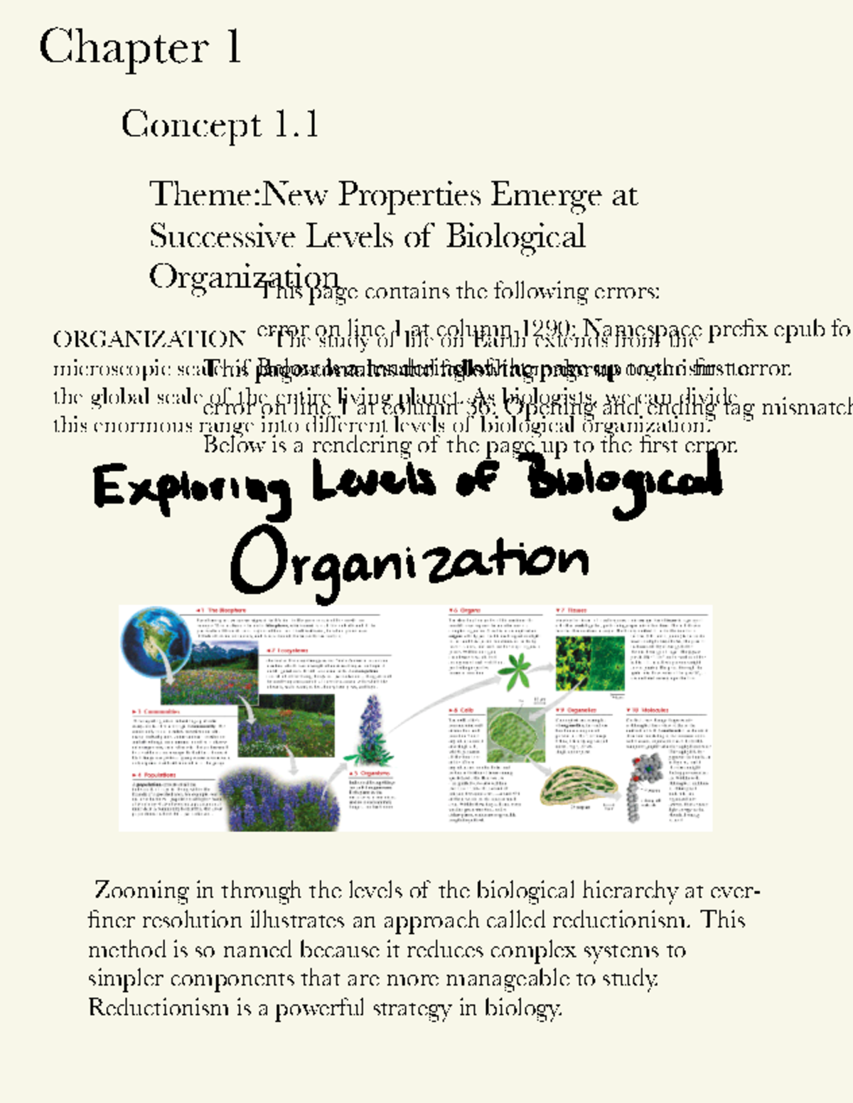 Biology 101: Overview of Evolution, Diversity, and Unity of Life - Studocu