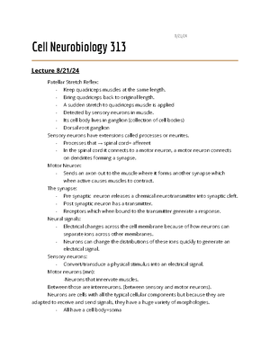 Biol 113 August 28th, 2024 - Bio 113 Cel Neur In the CNS - endothelial ...