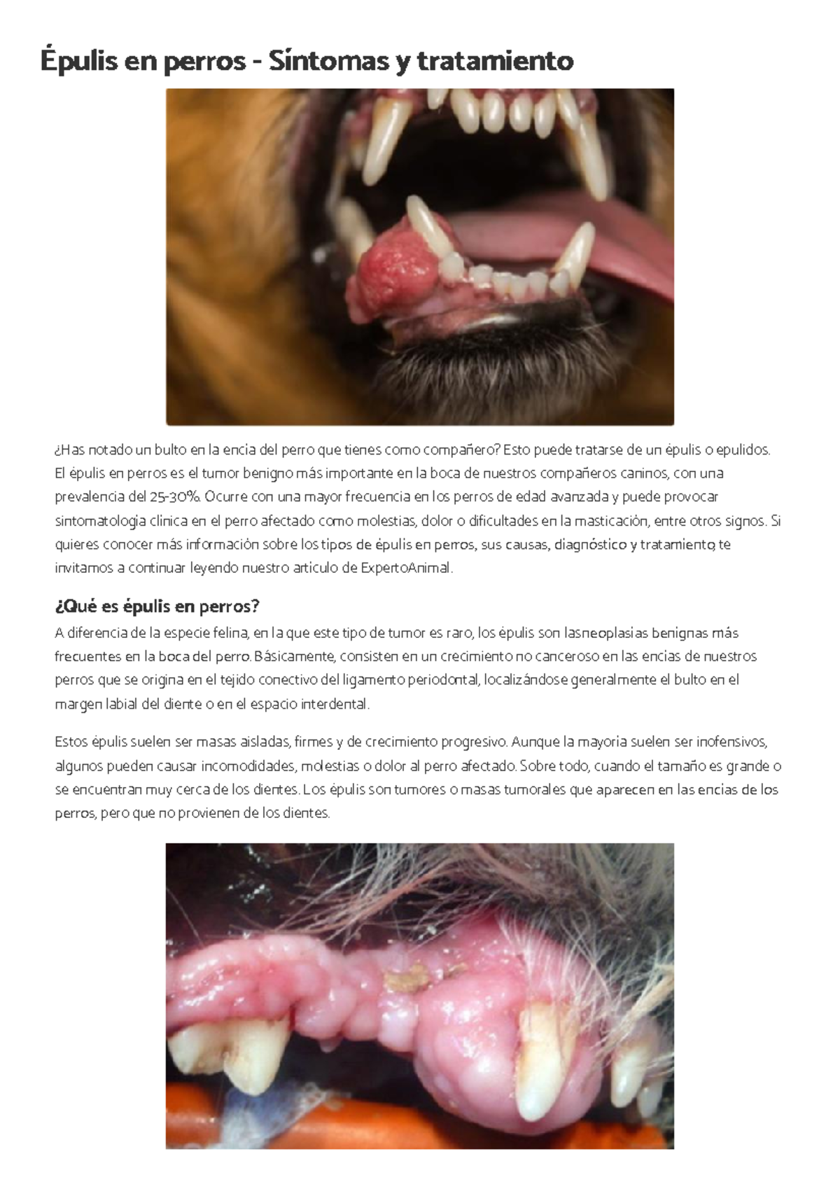 Épulis en Perros: Síntomas y Tratamiento Esencial - ExpertoAnimal - Studocu