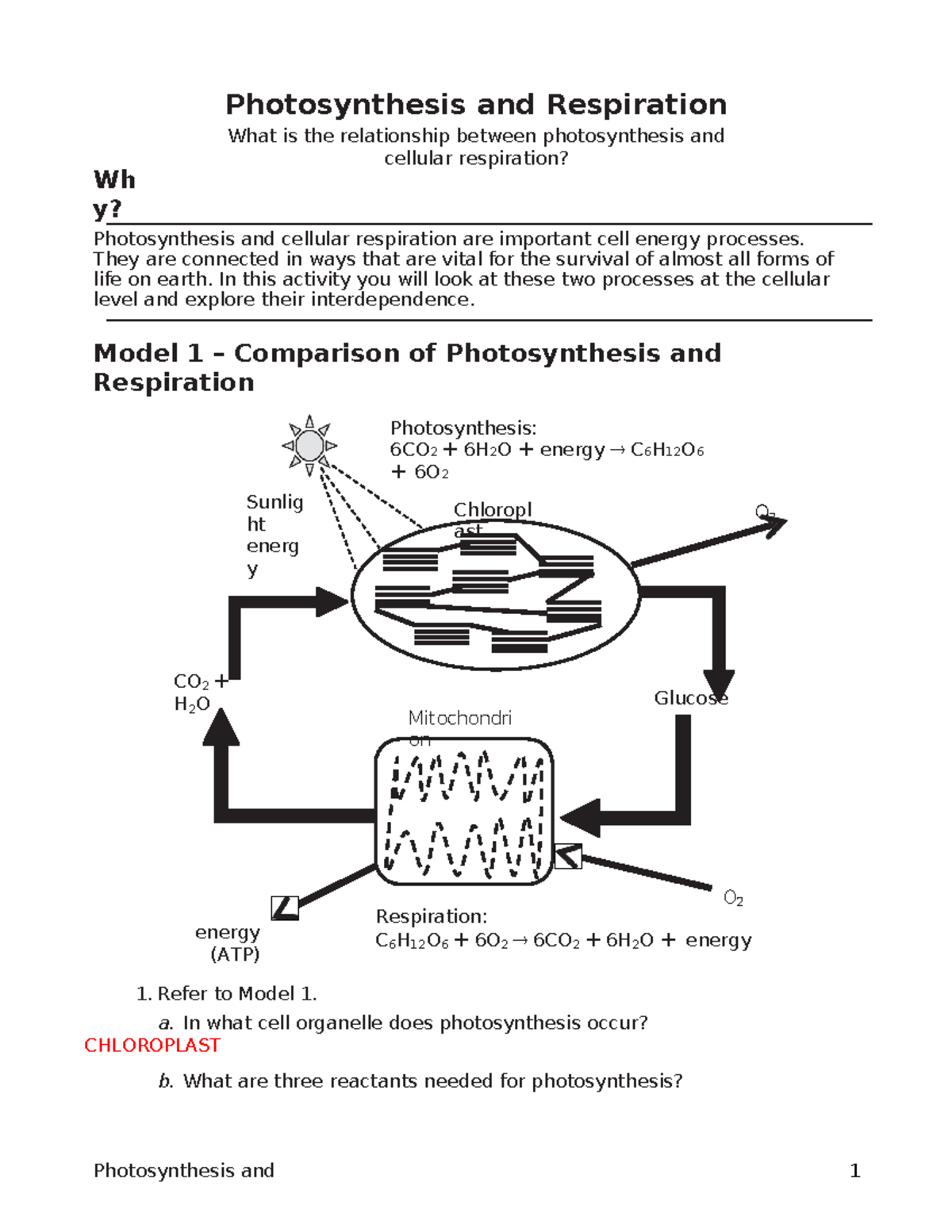 Photosynthesis and Respiration Overview: Key Concepts and Connections ...