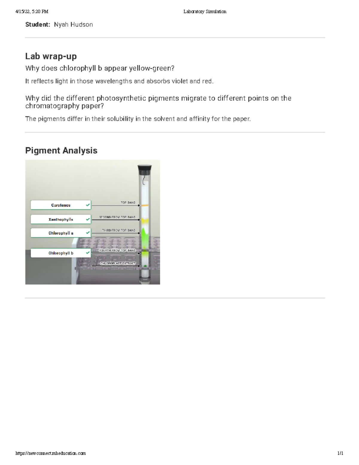 Applying the Scientific Method - Pillbug Preference - 1/23/22, 9:37 PM ...