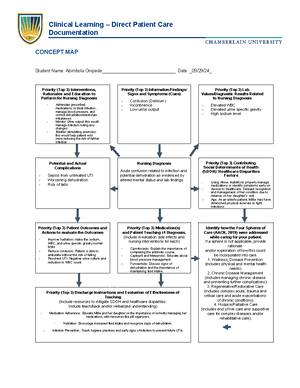NR293 Active Learning Activity Medication Concept Map Nov 21 - Name ...