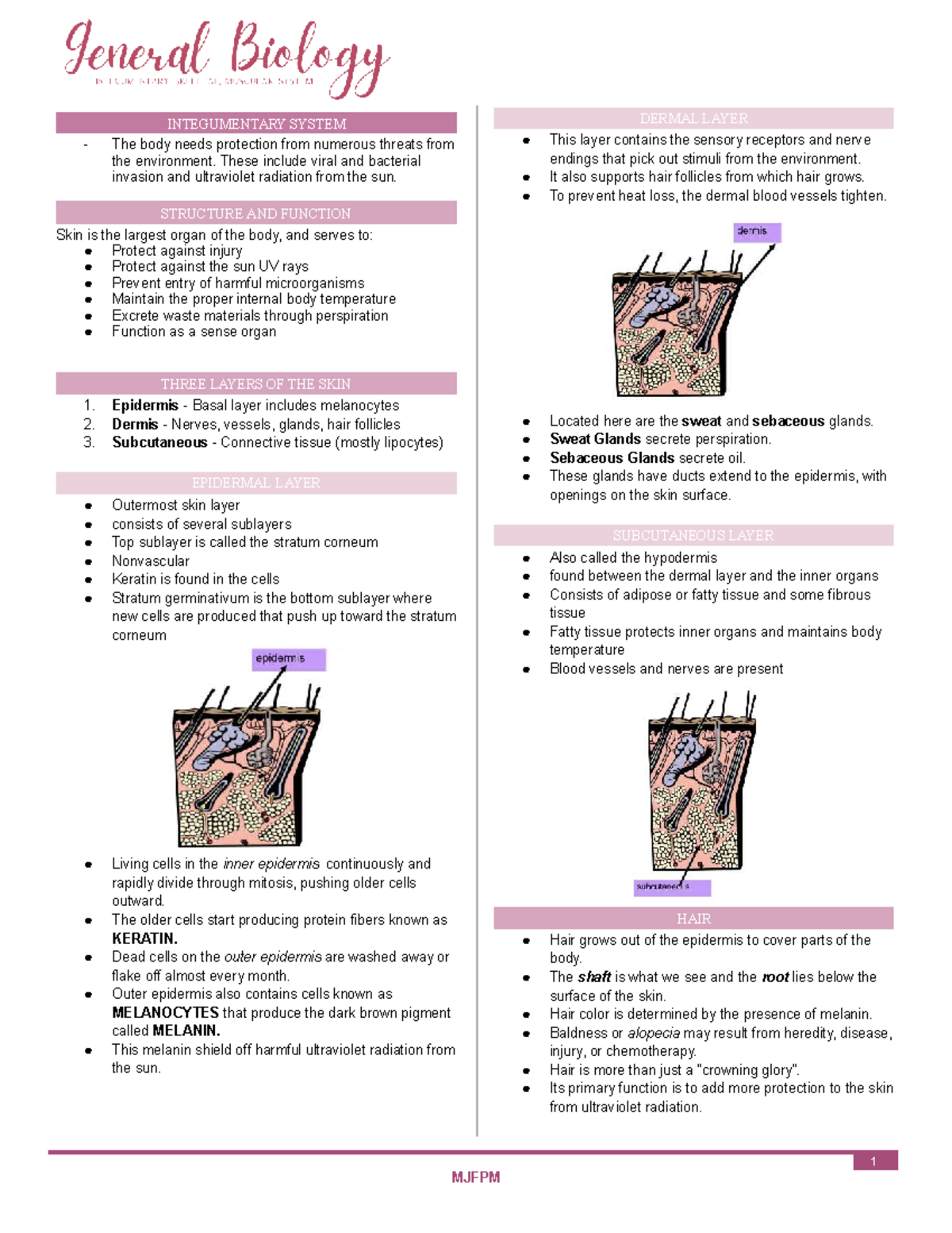 INTEGUMENTARY SYSTEM & MUSCLE ANATOMY REVIEW (MJFPM) - Studocu