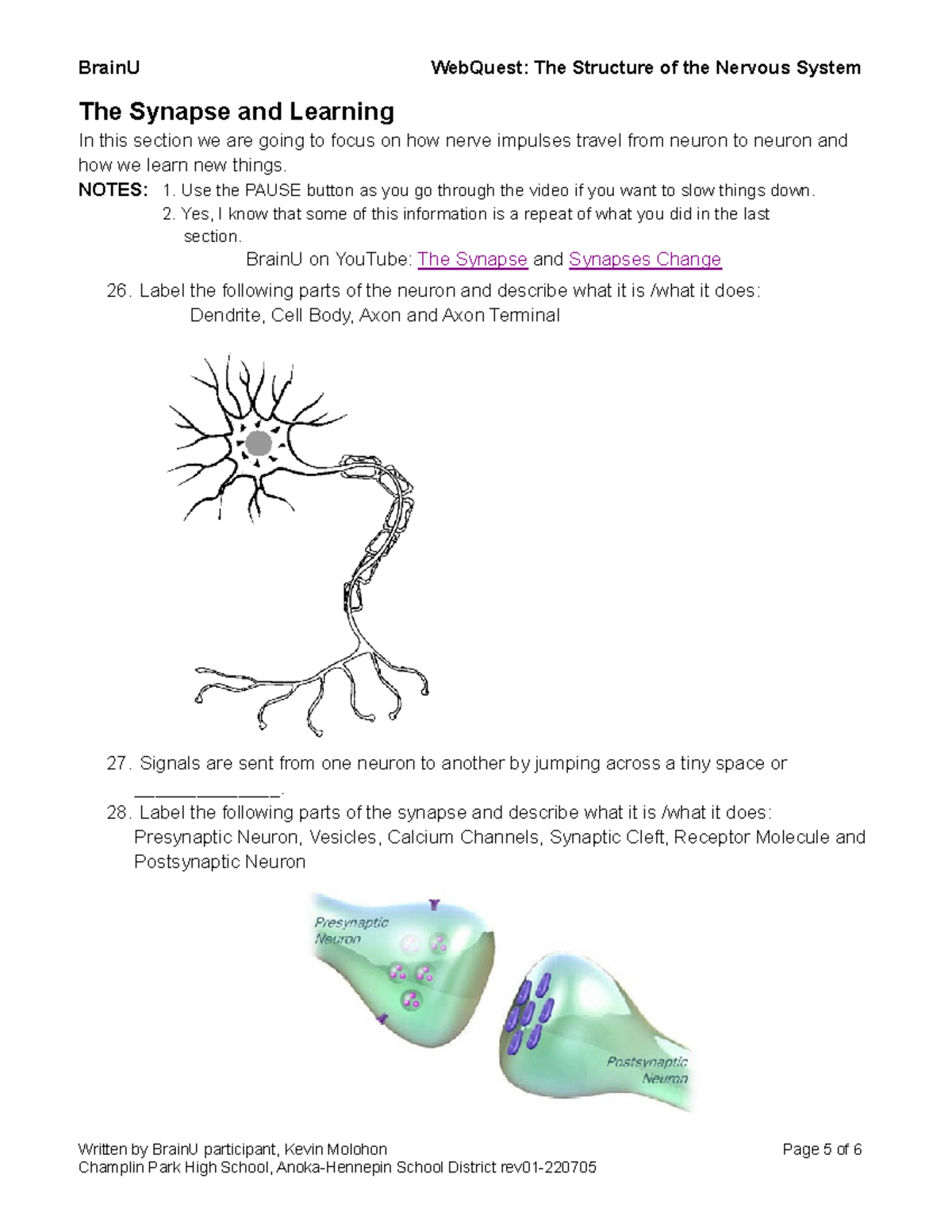 BrainU WebQuest: Nervous System Structure & Synapse Learning - Studocu