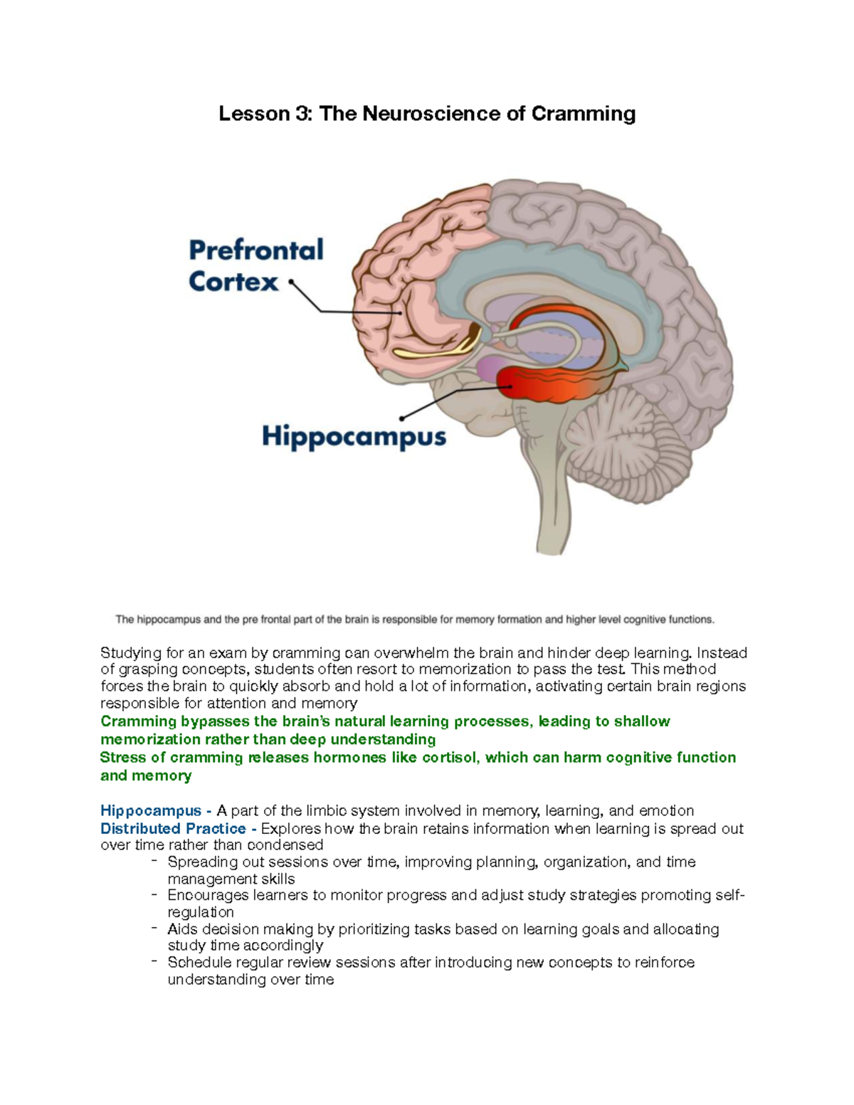 Lesson 3: The Neuroscience of Cramming - Studocu