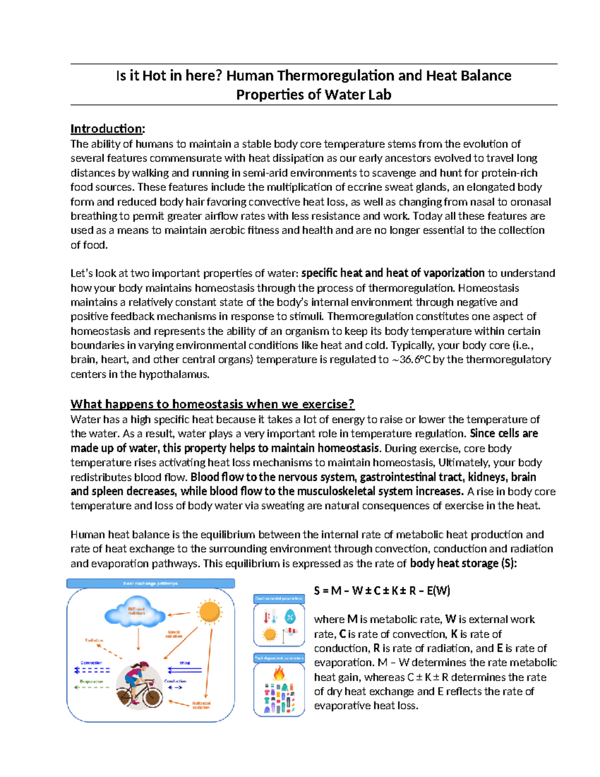 1.2LAB Human Thermoregulation: Heat Transfer & Water Properties - Studocu
