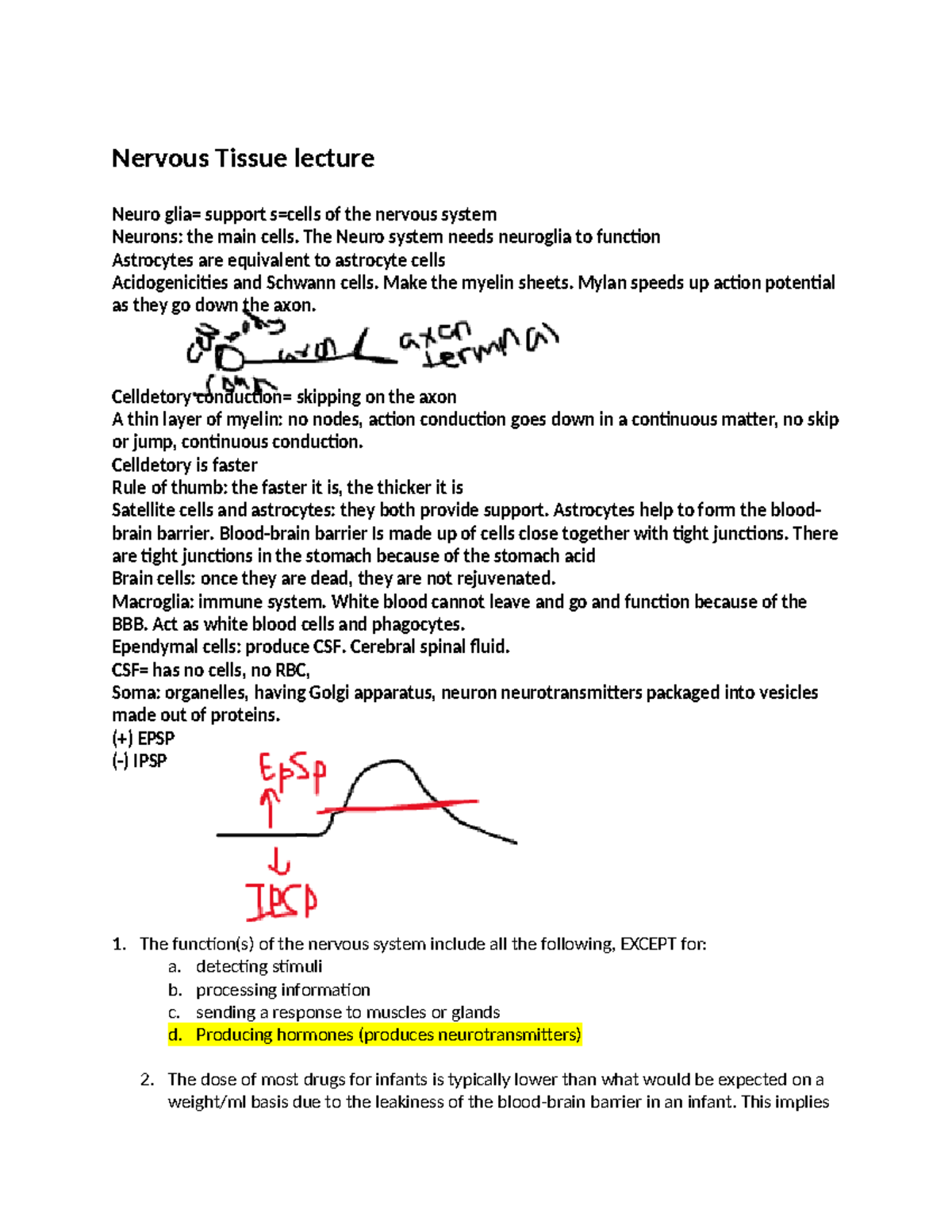Nervous Tissue Lecture Notes: Key Concepts & Functions - Studocu