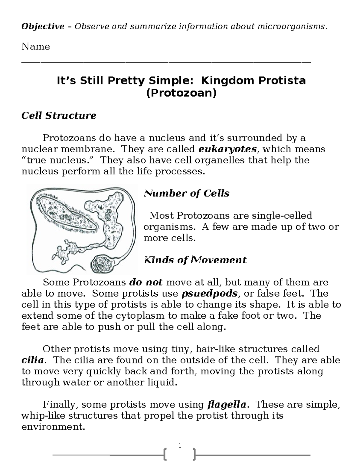 Protist Worksheet: Observing and Summarizing Microorganisms - Studocu