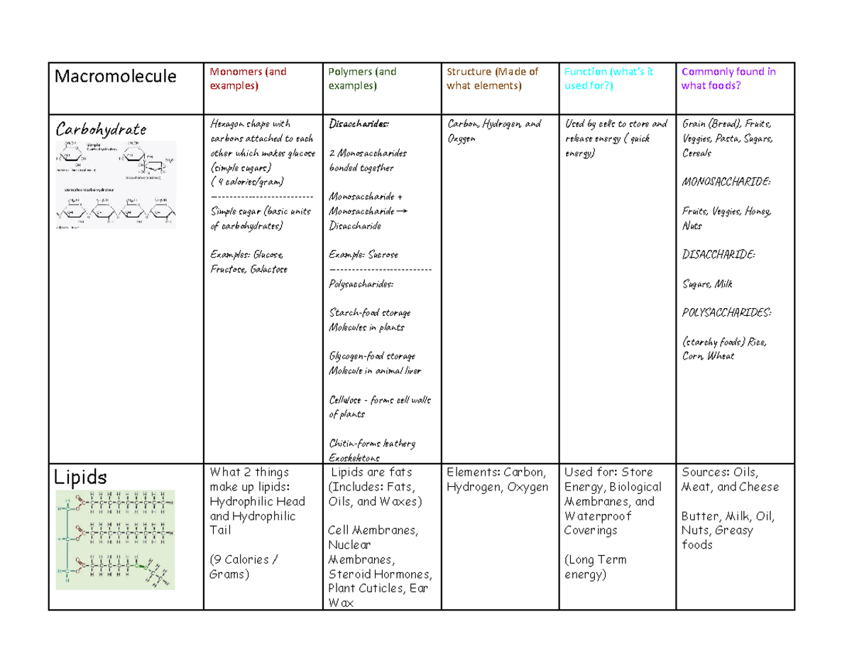 Biology Graphic Organizer {Jake P - Macromolecule Monomers (and ...