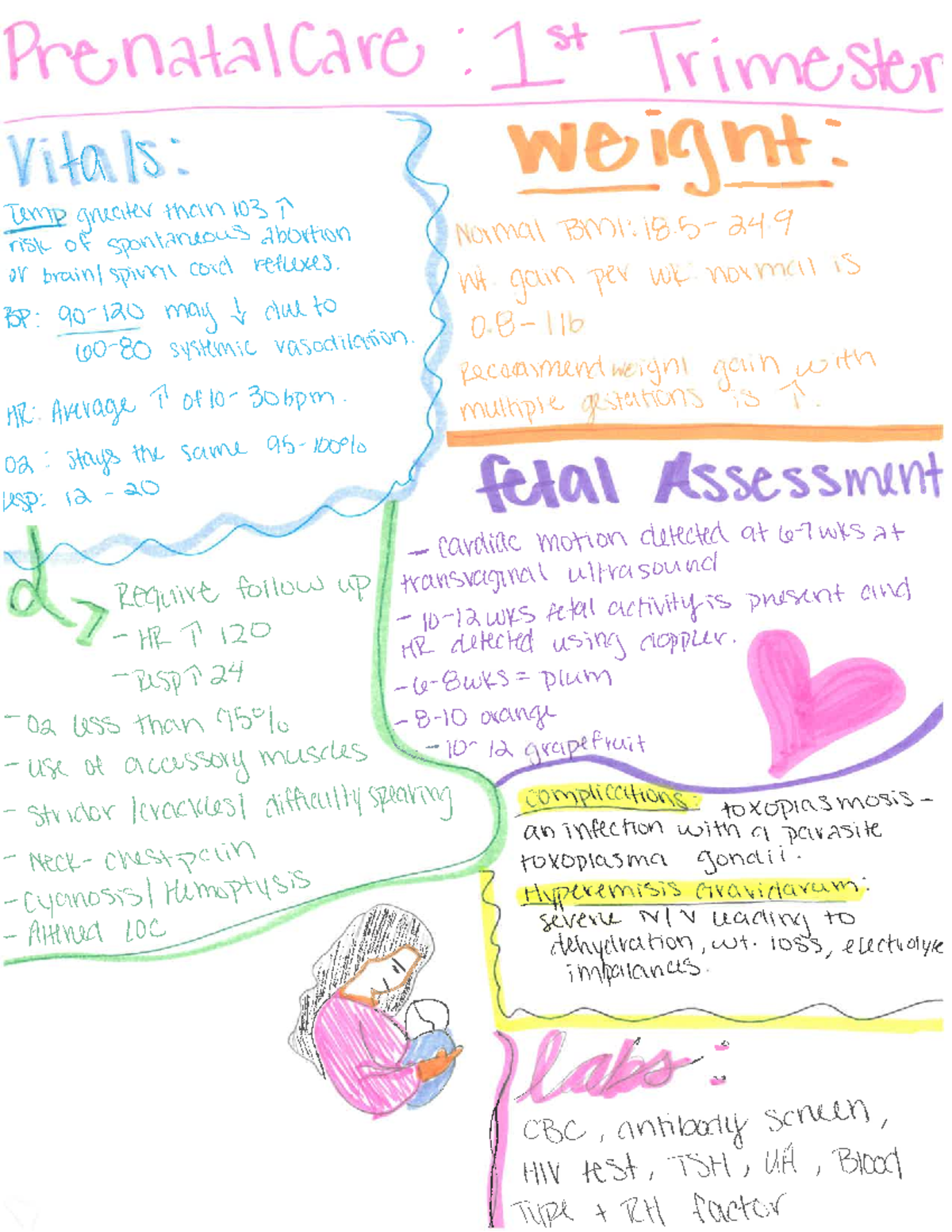 SHealth Sci 250: Prenatal Care Study Guide & Exam Prep Notes - Studocu