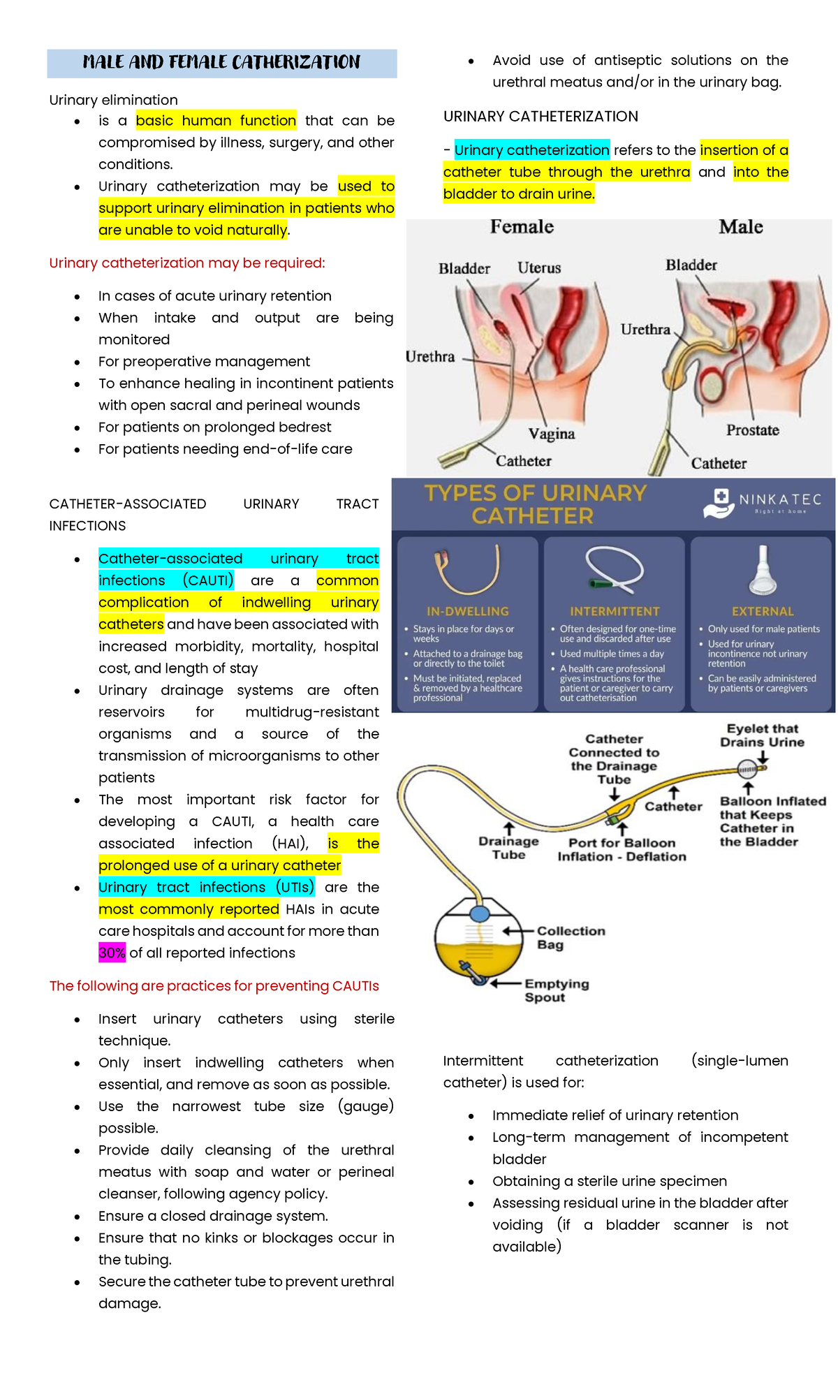 Catheterization in Males and Females: A Clinical Guide to Practice ...