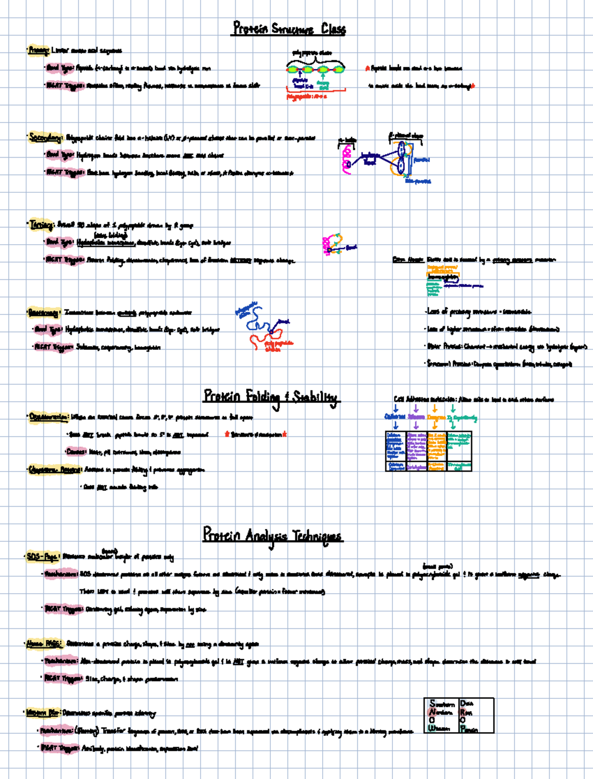 Protein Structure & Analysis: MCAT Insights on Folding & Denaturation ...
