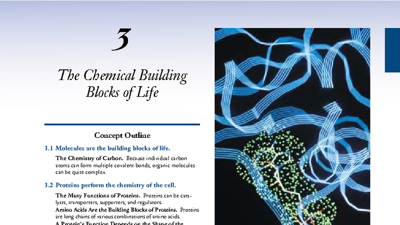 CHEM 101: The Chemical Building Blocks of Life - Concept Outline - Studocu
