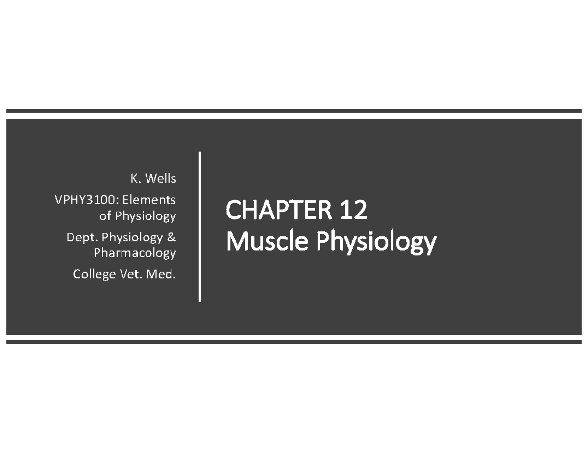 VPHY3100: Chapter 12 Muscle Physiology Lecture Outline - Studocu