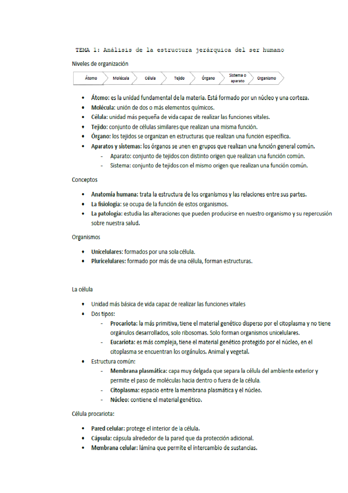 Resumen t-1 - ANATOMIA - TEMA 1: Análisis de la estructura jerárquica ...