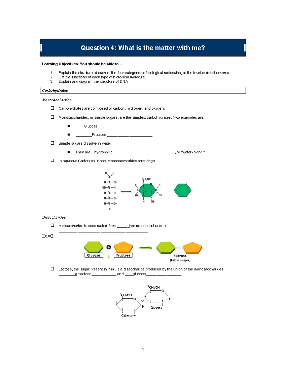 Notes Guide 4: Understanding Macromolecules and Their Functions - Studocu