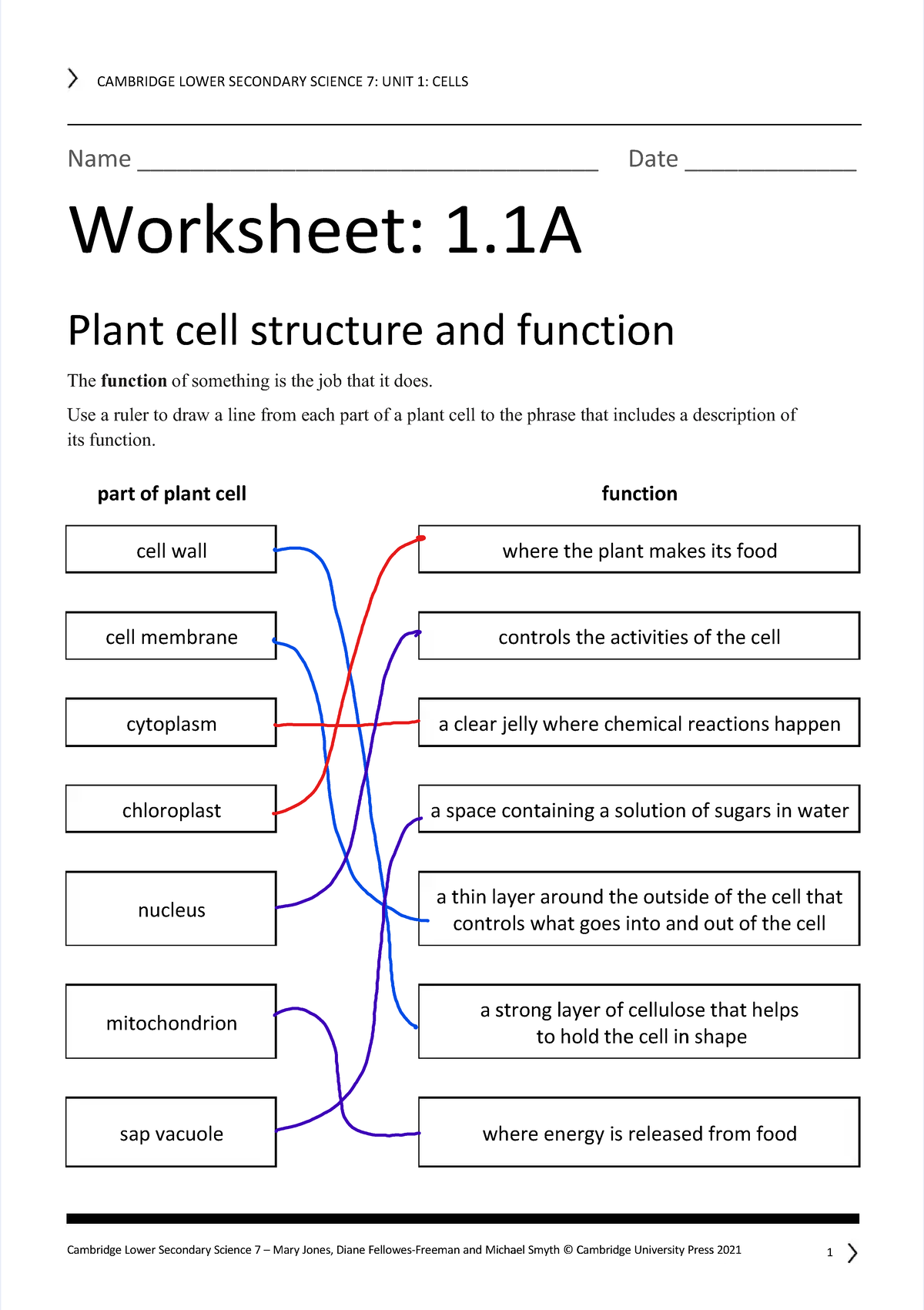 CAMBRIDGE LOWER SECONDARY SCIENCE 7: UNIT 1 WORKSHEETS ON CELLS - Studocu