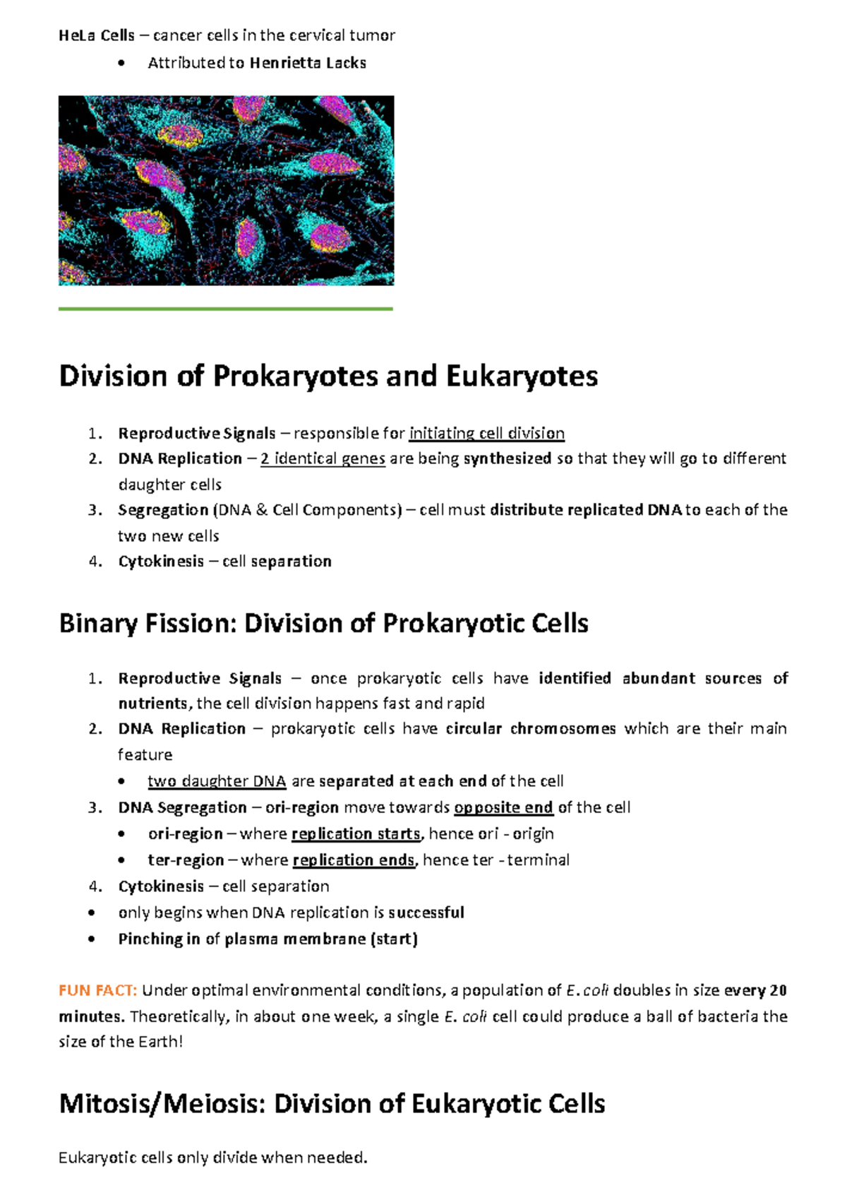 Cell Cycle & Division: Mitosis, Meiosis in Eukaryotes and Prokaryotes ...
