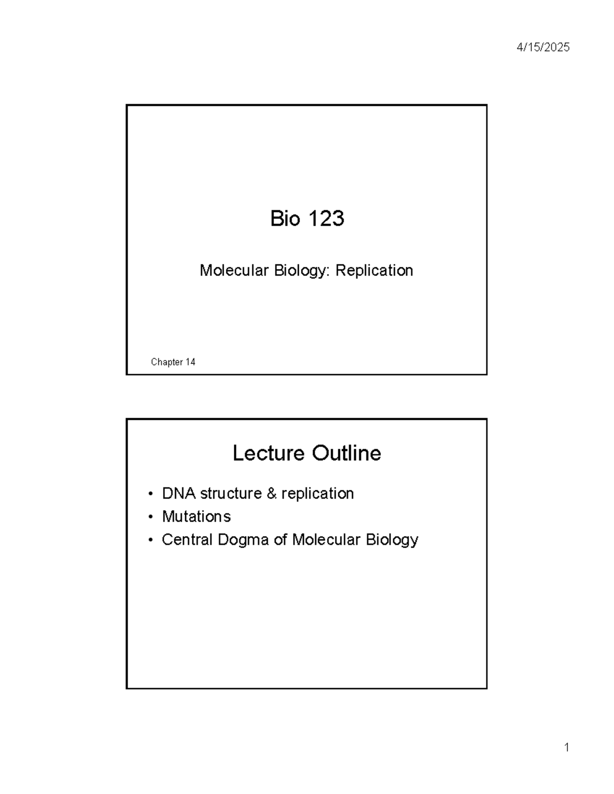 Bio 123: Molecular Biology Lecture 22 - DNA Replication and Mutations ...