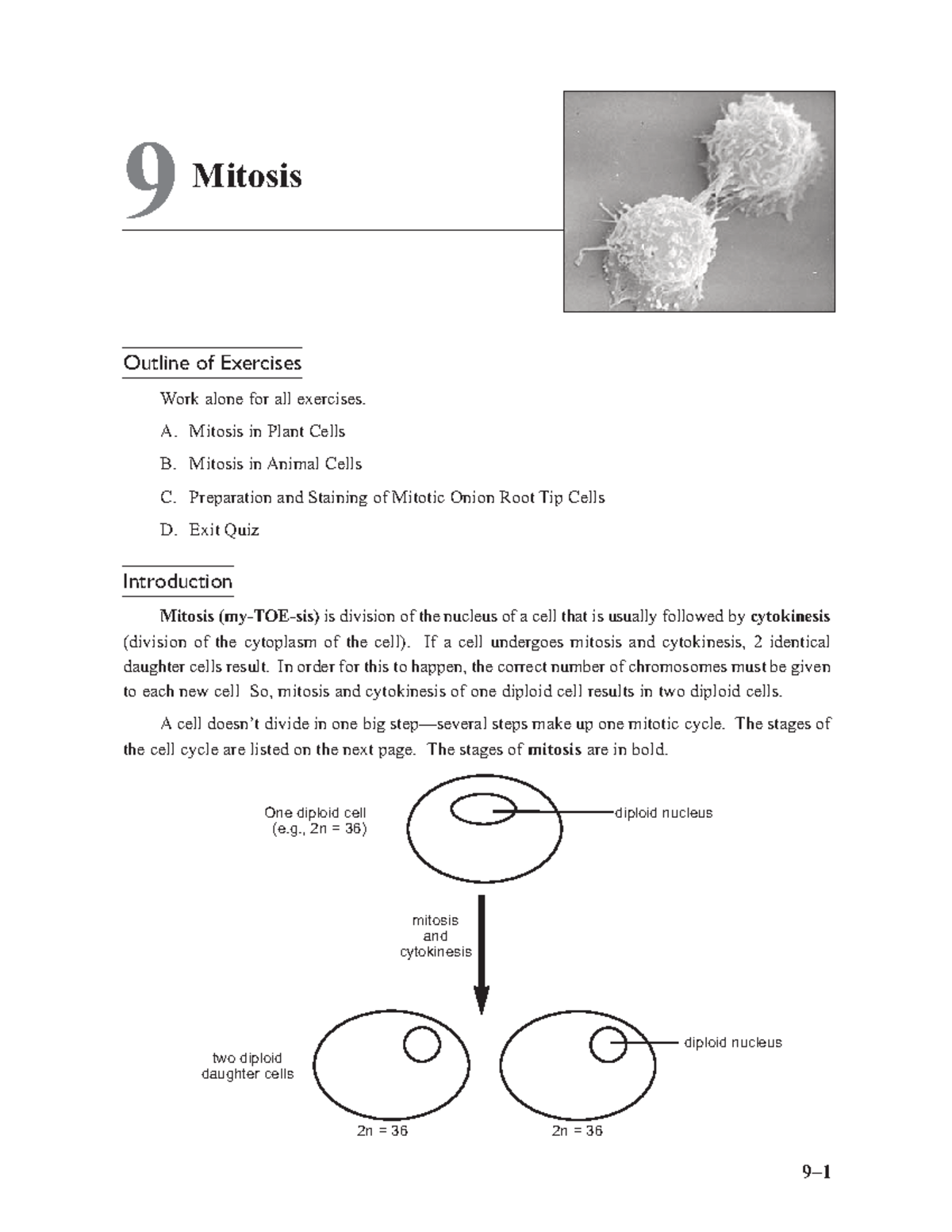 Mitosis and Meiosis Lab Manual (BIOL 101) - Experiments & Procedures ...