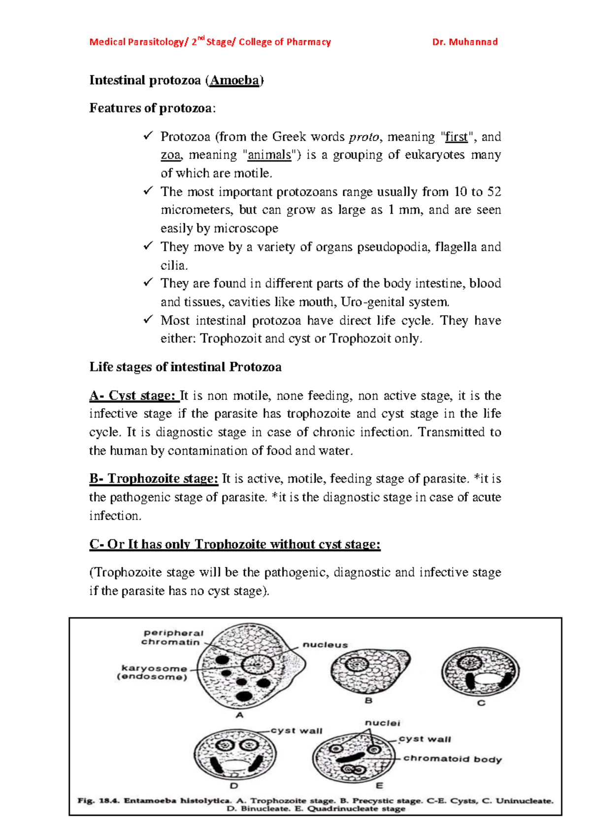 Medical 2nd College of Pharmacy Dr. Muhannad: Entamoeba Histolytica Overview - Studocu