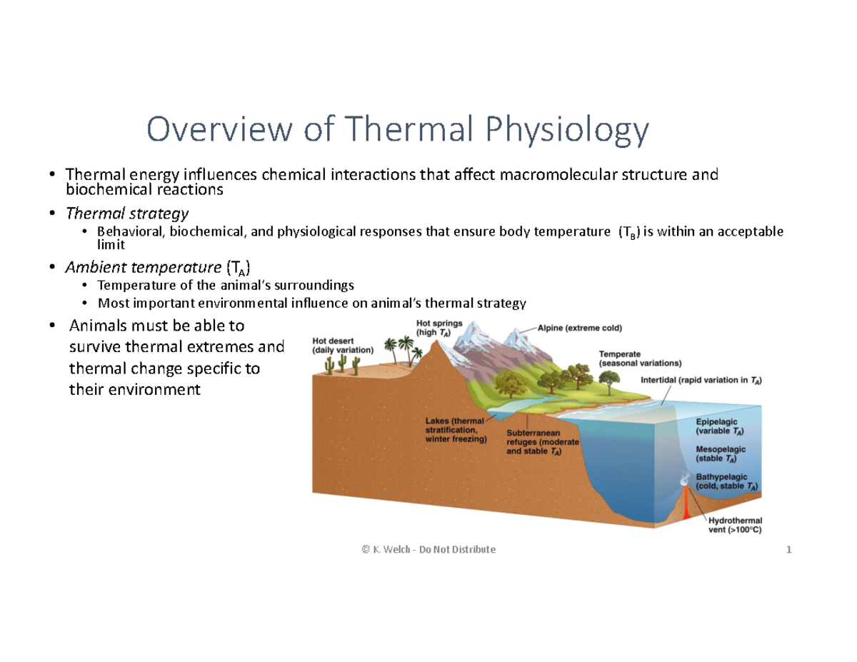 Thermal Physiology: Adaptations and Mechanisms in Ectotherms and ...