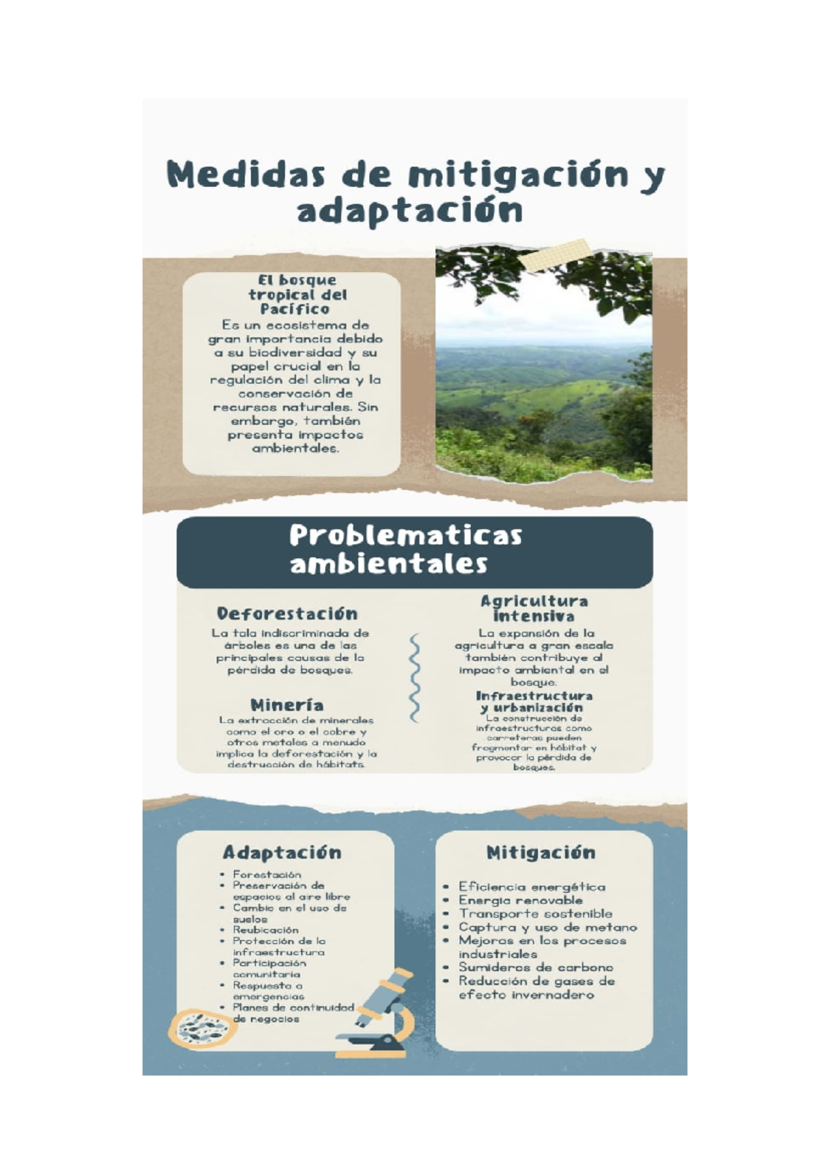 Medidas de Mitigación y Adaptación en el Bosque Tropical del Pacífico ...