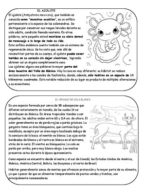 Proyecto 2do Grado Semana 06 Lo Que Nos Gusta y Lo Que Nos Disgusta ...