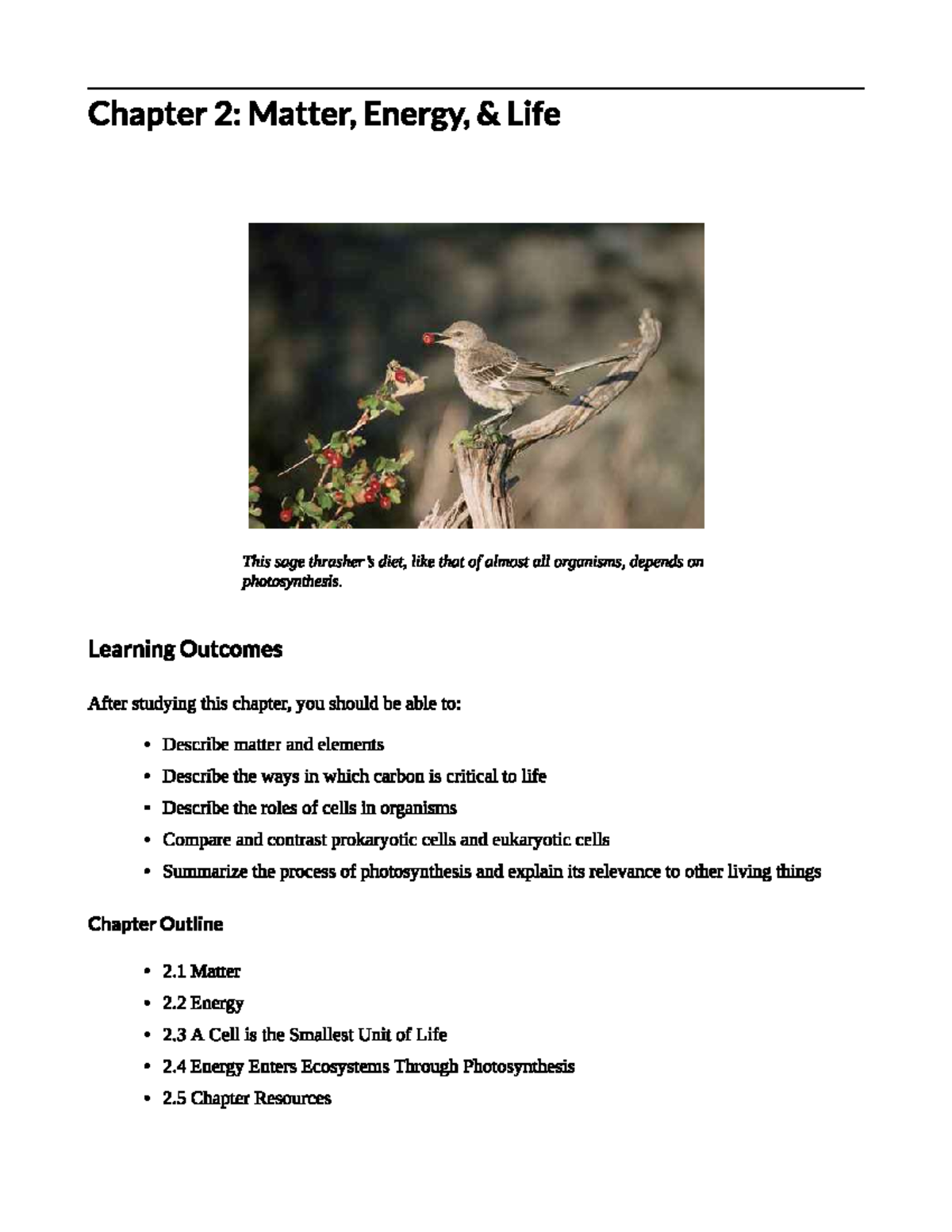Environmental Biology (BIO 101): Chapter 2 - Matter, Energy, and Life ...