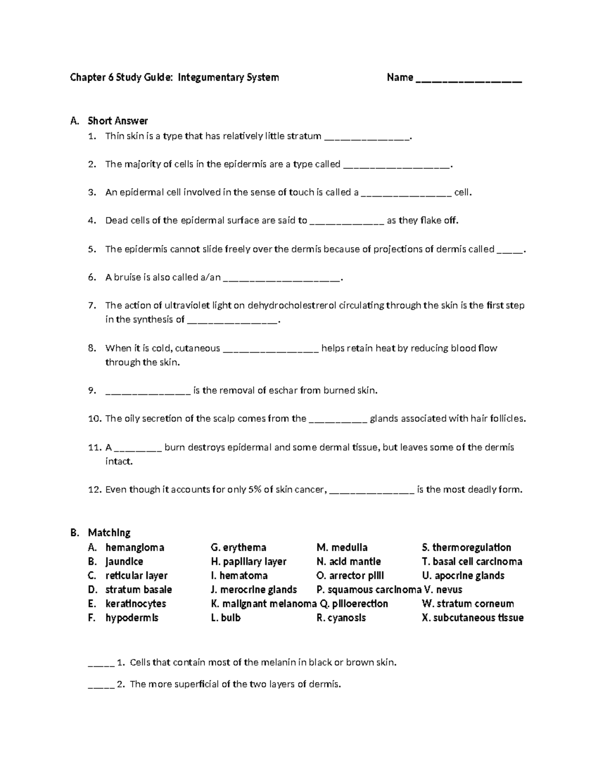 Ch. 6 Study Guide: Integumentary System Overview and Key Concepts - Studocu