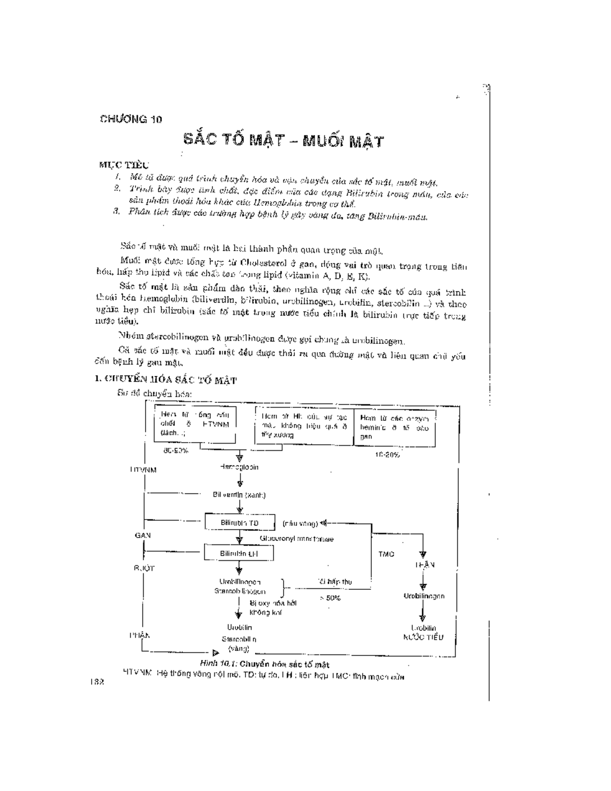 Giáo Trình Hóa Sinh Lâm Sàng Của ĐH Y Dược TP.HCM - Biên Soạn 2023 ...