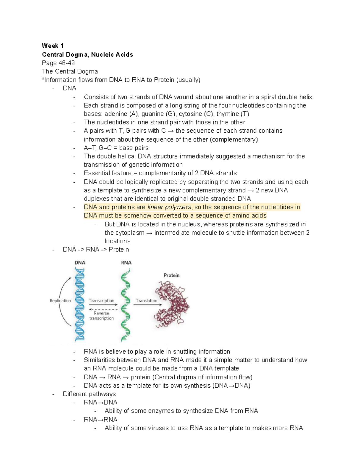 Final Exam Notes on Chromatin Structure and DNA Packaging (Bio99 ...