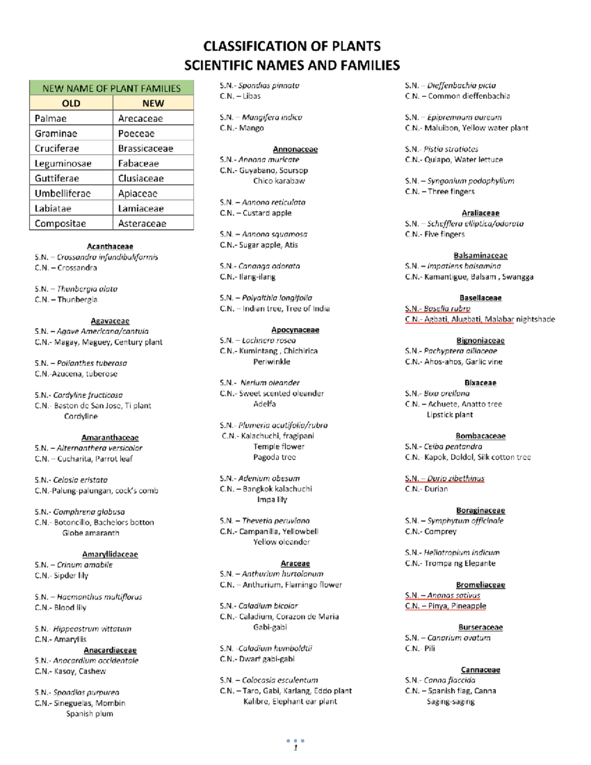 Scientific-Names-Updated - CLASSIFICATION OF PLANTS SCIENTIFIC NAMES ...